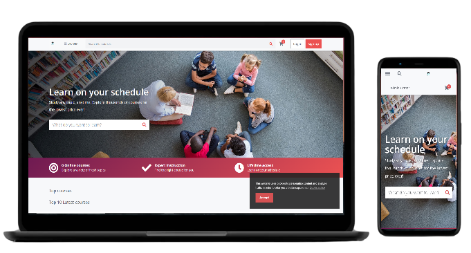 Webtee | Digital Solutions |Website/Web App Developer